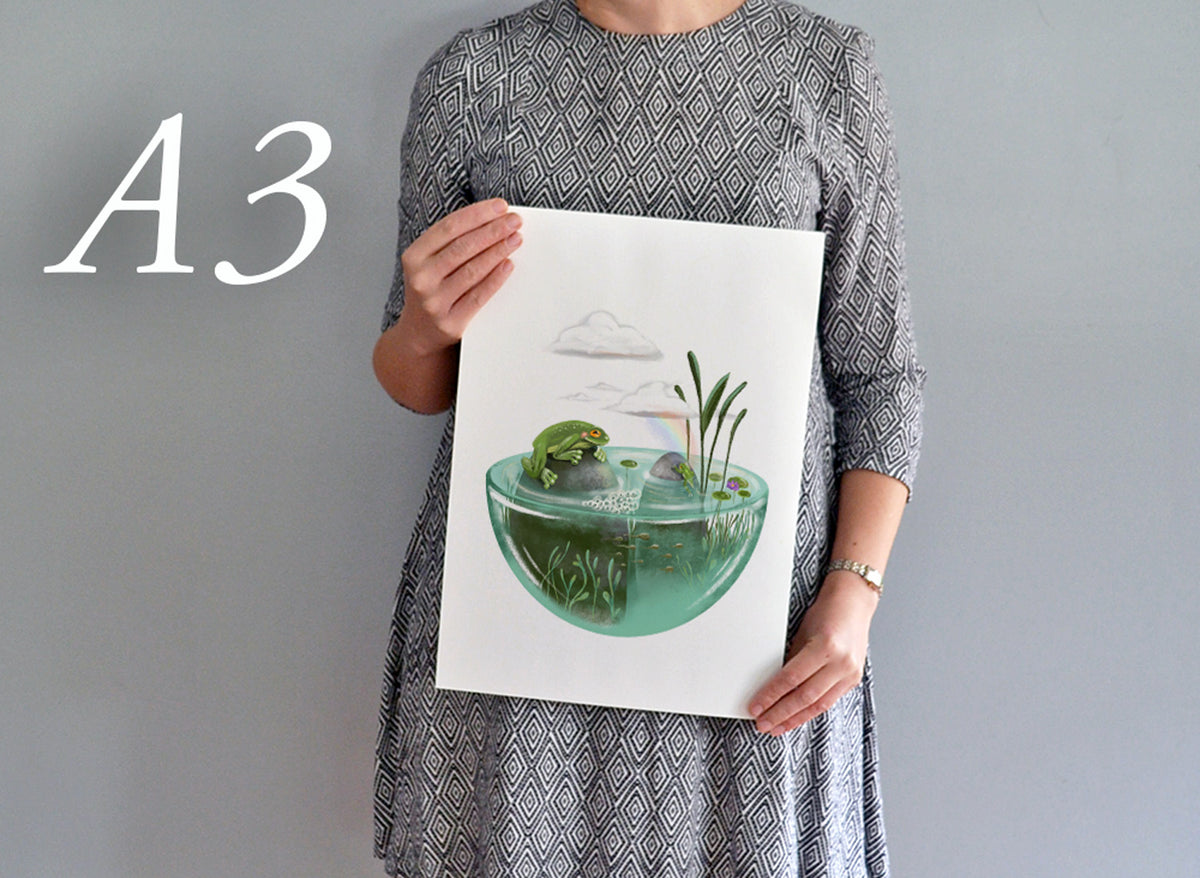 Life Cycle of Frogs - biological science art poster for kids – Room to ...