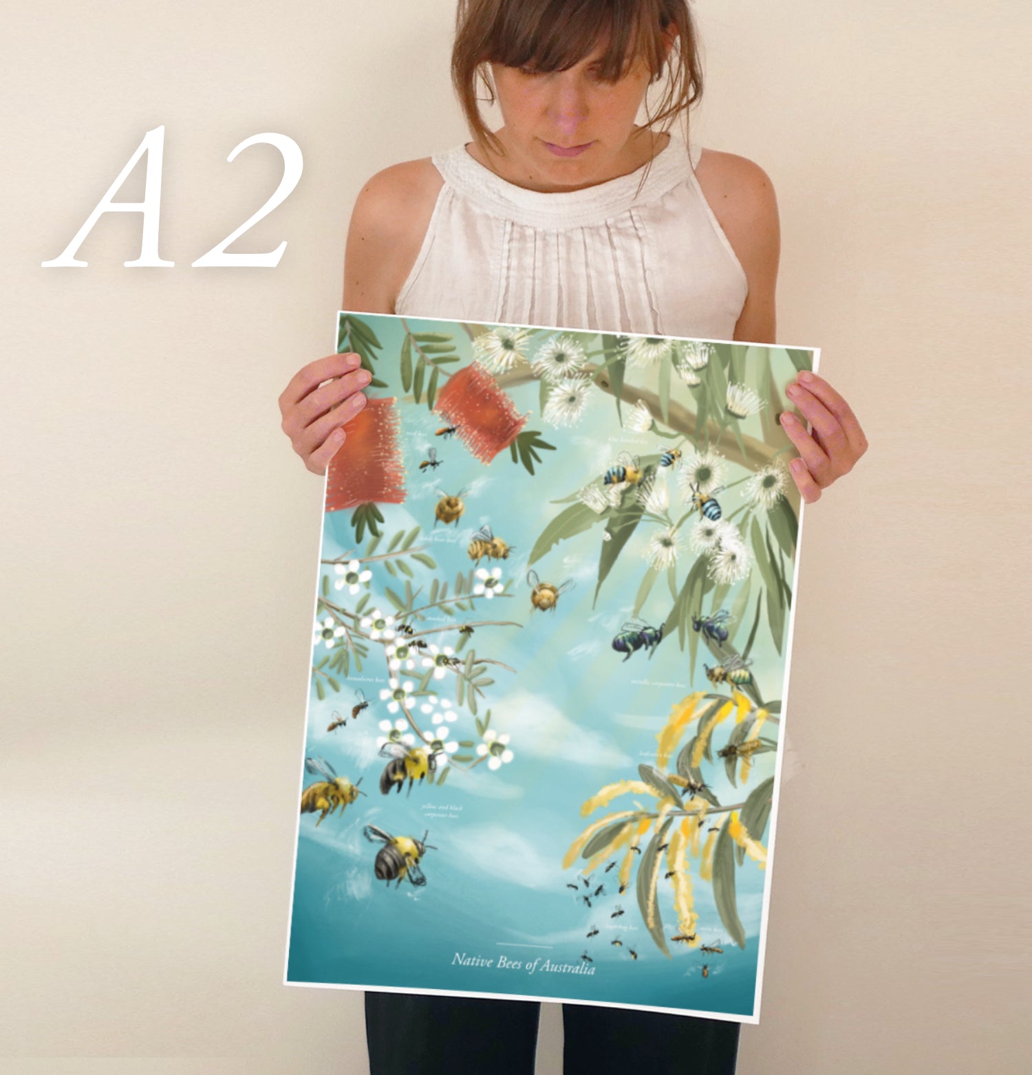 Native Bees of Australia poster (Colourful version) – Room to Wonder